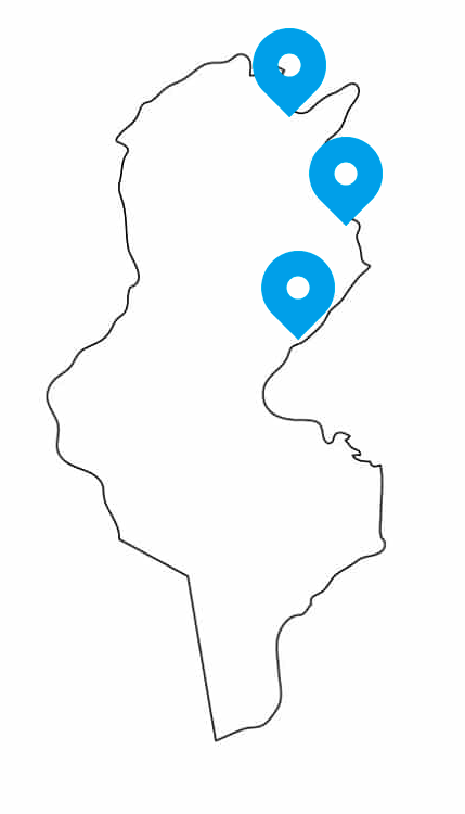 GTI – General Transport International